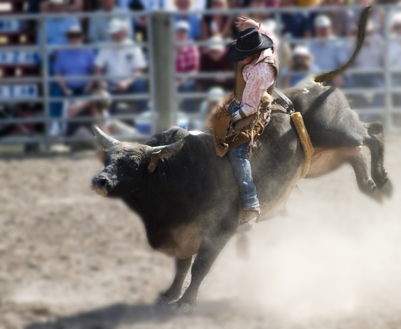 Harper's Preserve Saddle Up Daily Rodeo Ticket Winners | Harpers Preserve
